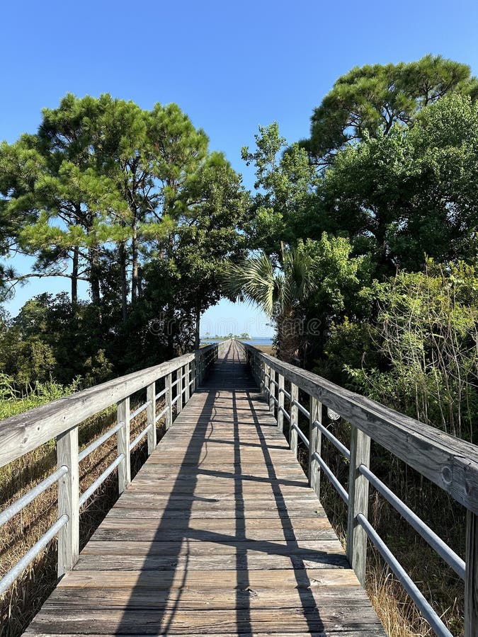 Wooden Bridge with Arched Trees Stock Photo - Image of walkway ...