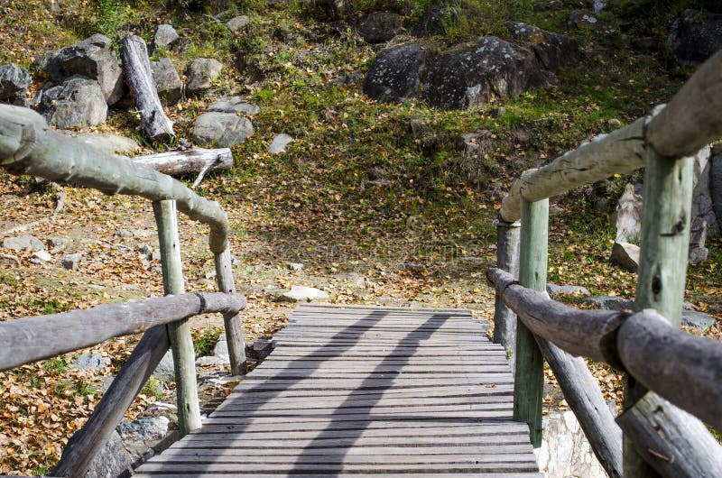 Wooden Bridge in an Autumn Colorful Forest Stock Photo - Image of ...