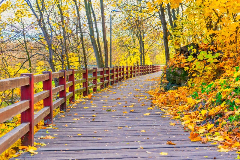 Wooden Bridge with Autumn Forest Stock Image - Image of colorful, trees ...
