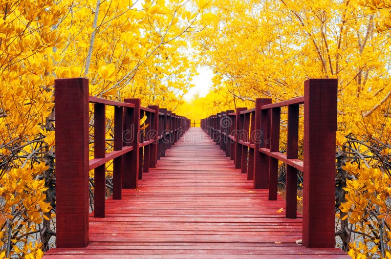 Bridge in autumn forest stock image. Image of parkway - 57510719