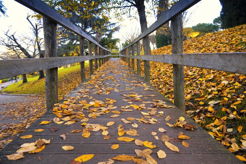 Wooden Bridge with Autumn Leaves Stock Image - Image of peaceful ...