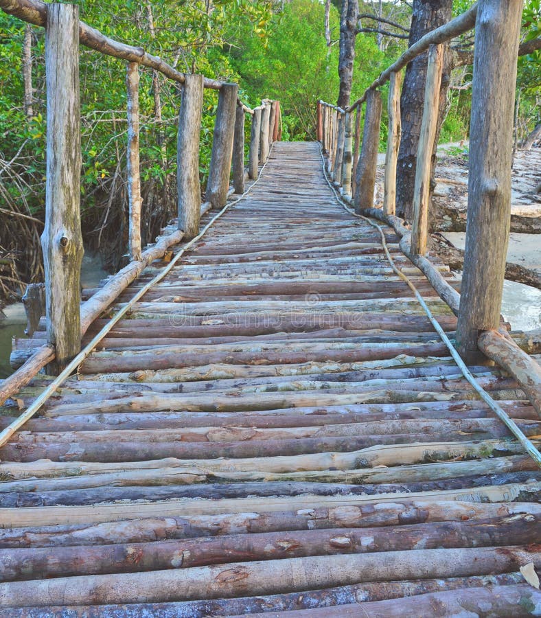 Wooden bridge stock image. Image of flora, bridge, structure - 34448499