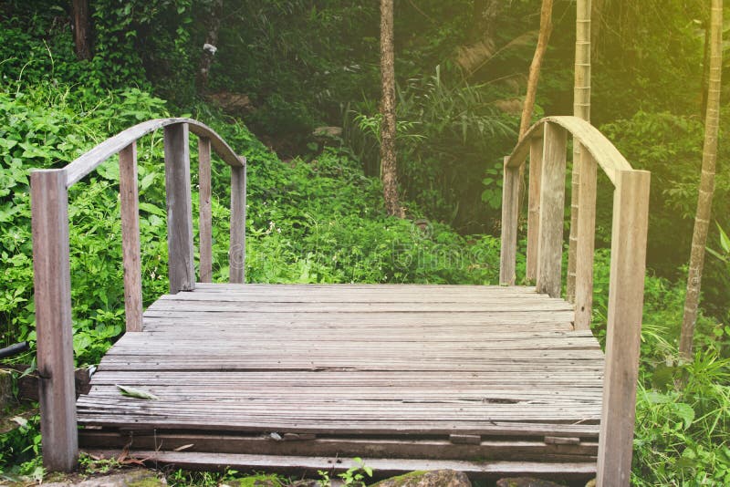 The Wooden Bridge almost Collapsed Stock Image - Image of scenery ...