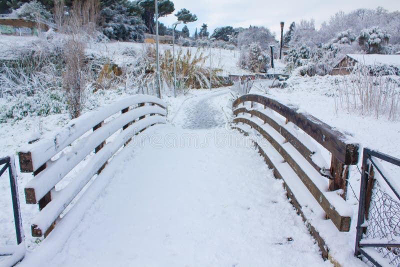 Wooden Bridge Covered by Snow in Public Park Stock Photo - Image of ...