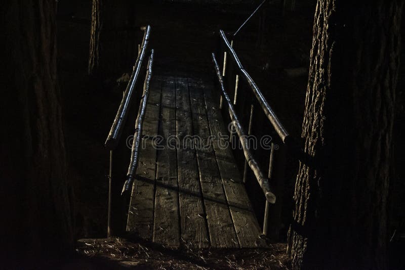Wooden Bridge in the Dark Forest Dramatic Lighting Stock Image - Image ...