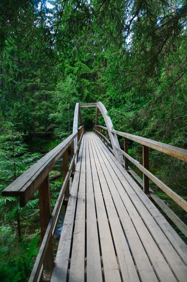 Wooden Bridge in Dense Forest Over Ahja River Stock Image - Image of ...