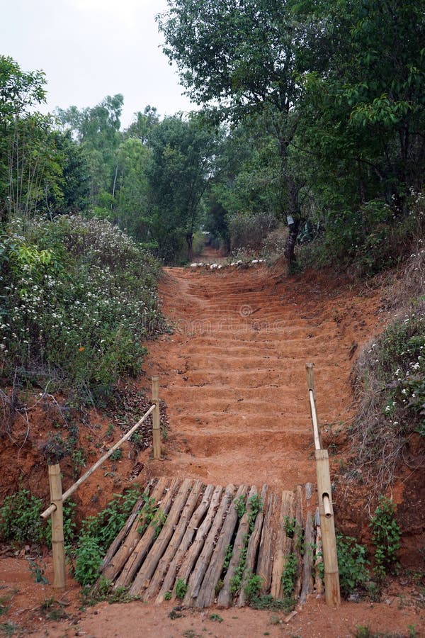 Wooden bridge stock photo. Image of green, bush, clay - 91180468