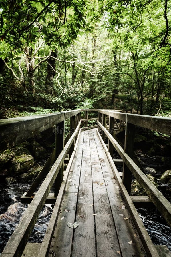 A Wooden Bridge Down by the River Stock Image - Image of summertime ...
