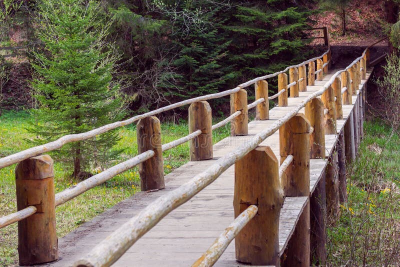 Wooden Bridge Fenced by a Fence in a Pine Forest Stock Image - Image of ...