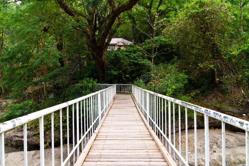 Wooden bridge in forest stock photo. Image of construction - 24109712