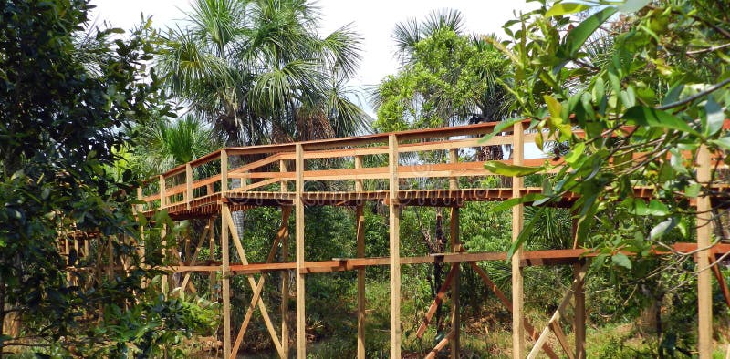 Wooden Bridge at the Forest Stock Photo - Image of amazonian, wild ...