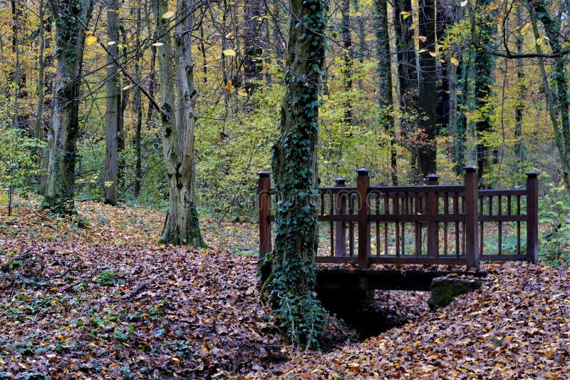 Wooden Bridge in the Forest and Autumn Trees Stock Photo - Image of ...