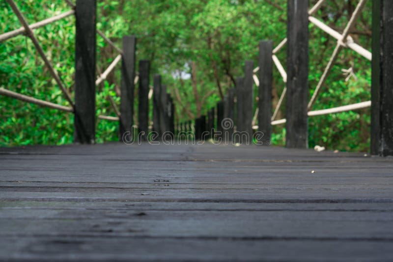 Wooden bridge in forest stock photo. Image of park, wood - 78132630