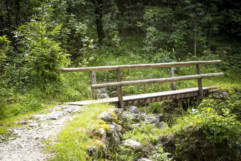 Wooden Bridge in the Forest Stock Photo - Image of stream, view: 47314942