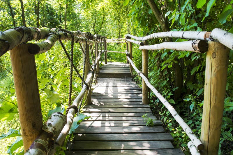 Wooden Bridge in Forest stock image. Image of lead, nature - 148216707