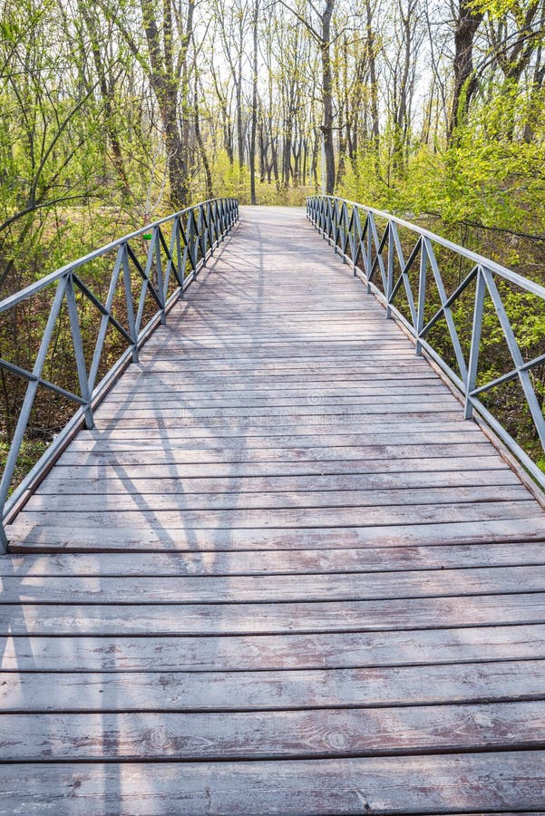 Wooden Bridge in the Forest without People Stock Image - Image of ...