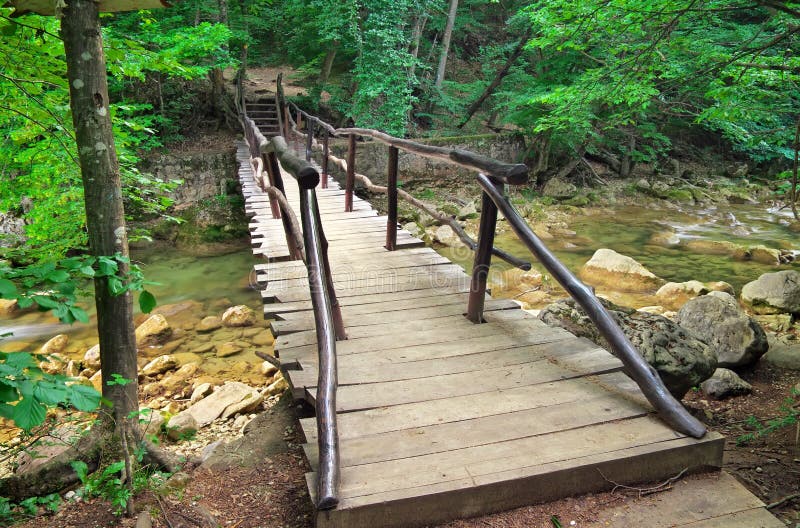 Wooden Bridge in the Forest Stock Photo - Image of plants, green: 31347464