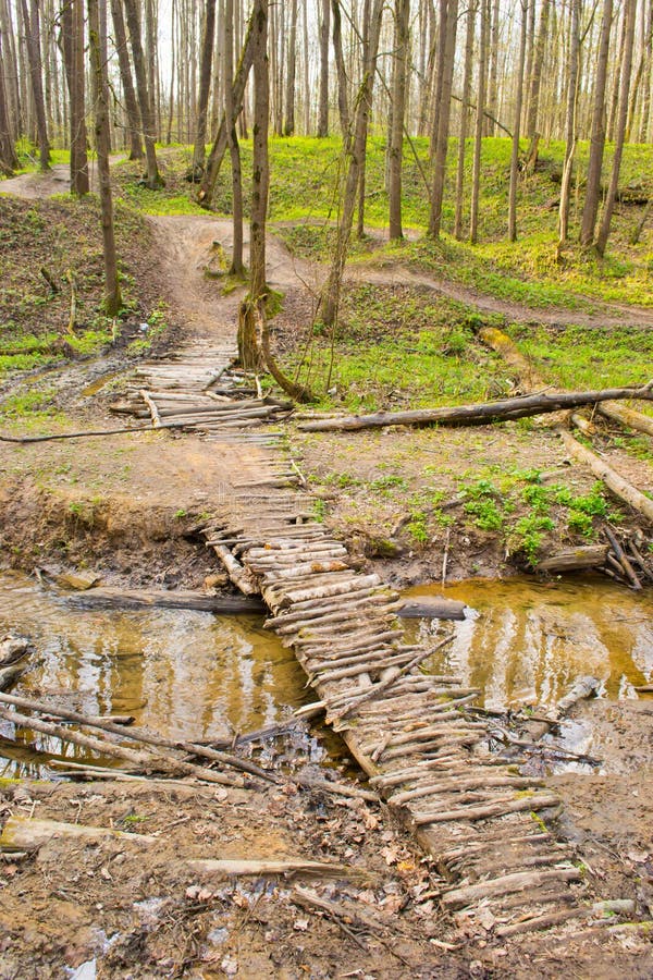 Wooden Bridge in the Forest Stock Photo - Image of blossom, river: 40332380