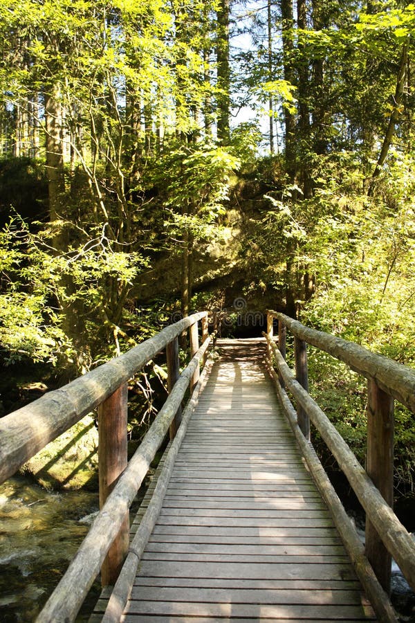 Wooden bridge in forest stock photo. Image of scenic - 36935460