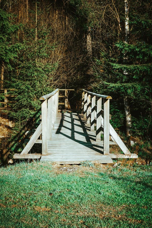 Wooden Bridge in a Forest in the Sunlight Stock Photo - Image of scenic ...