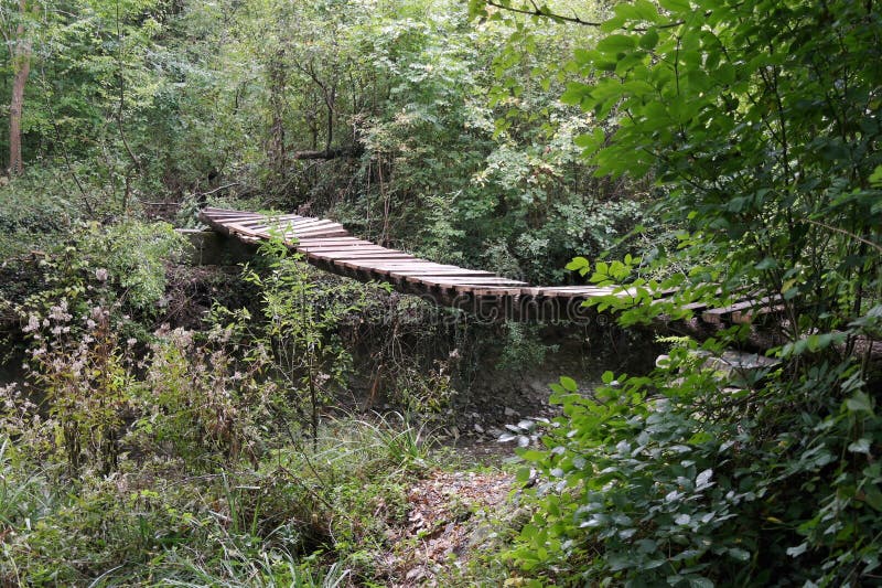 Wooden Bridge in the Forest Stock Image - Image of magical, ravine ...
