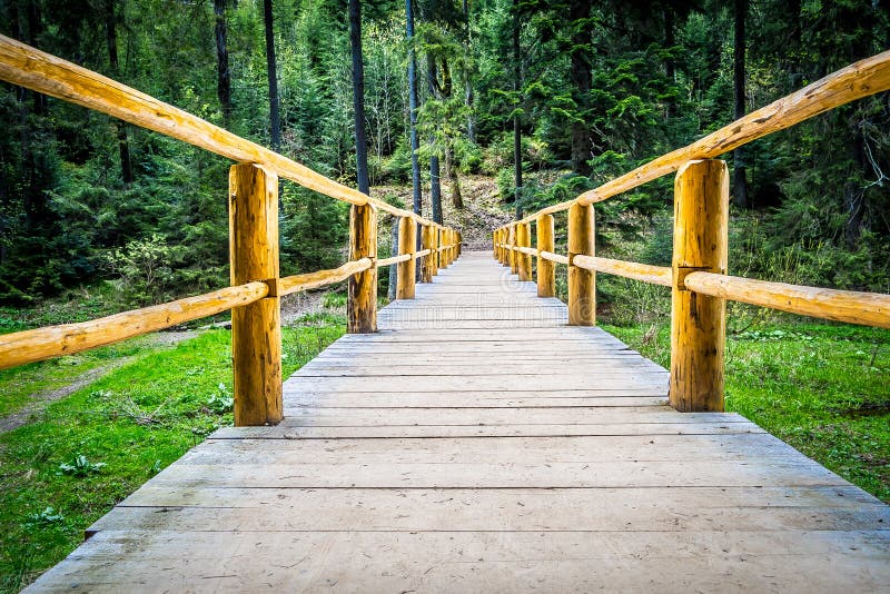 Wooden bridge in forest stock image. Image of deep, footpath - 50712213