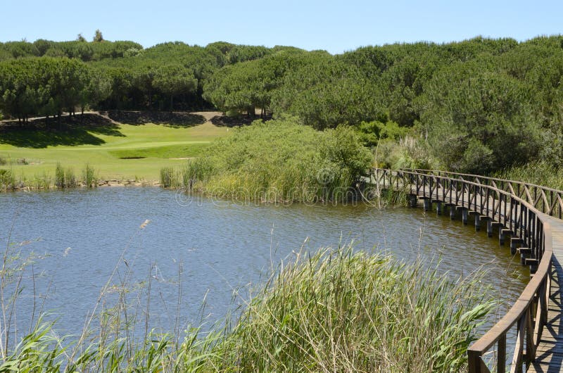 Wooden bridge stock photo. Image of lake, brush, field - 31410396