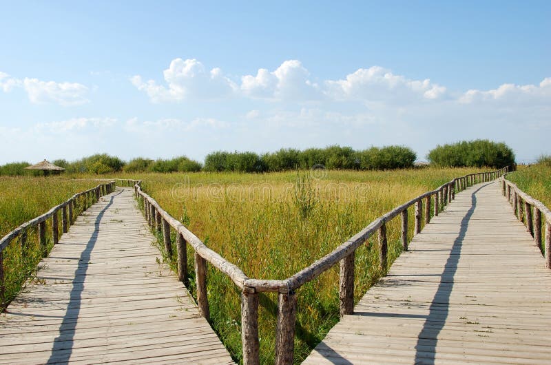 Wooden bridge on grassland stock photo. Image of wooden - 27243914