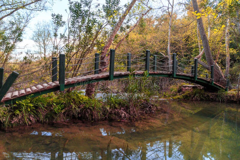 Wooden Bridge on Lake stock image. Image of road, ecology - 58380715