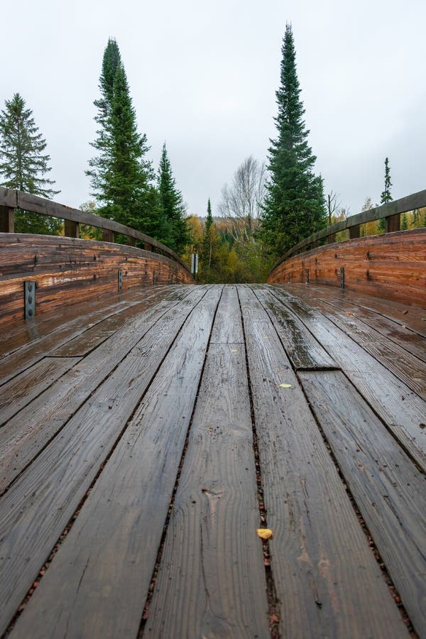 Wooden Bridge Leading into the Wilderness on Rainy Day - Vertical Stock ...