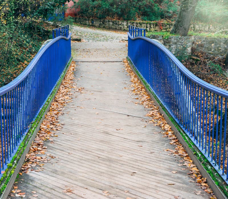 Metal Pedestrian Footbridge Over the River Stock Image - Image of walk ...