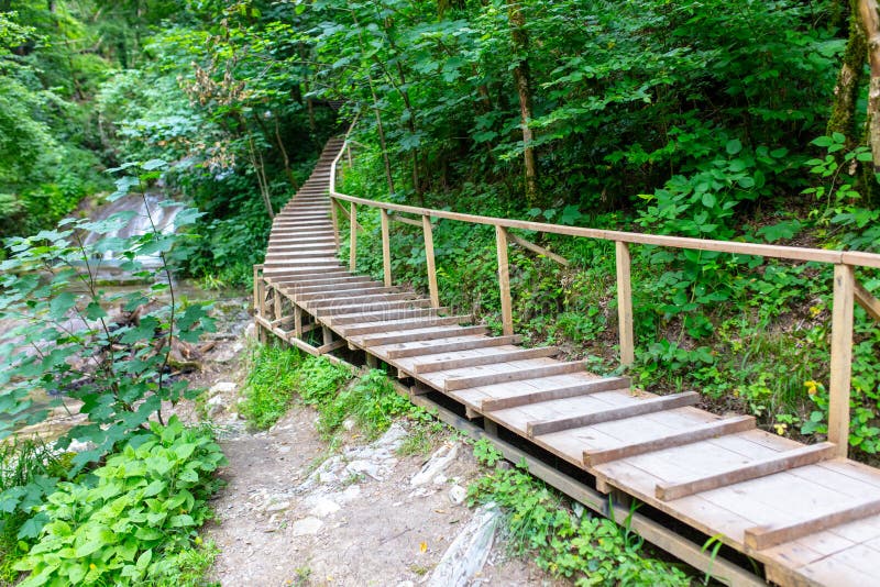Wooden Bridge on a Mountain River. Stock Photo - Image of trail, summer ...