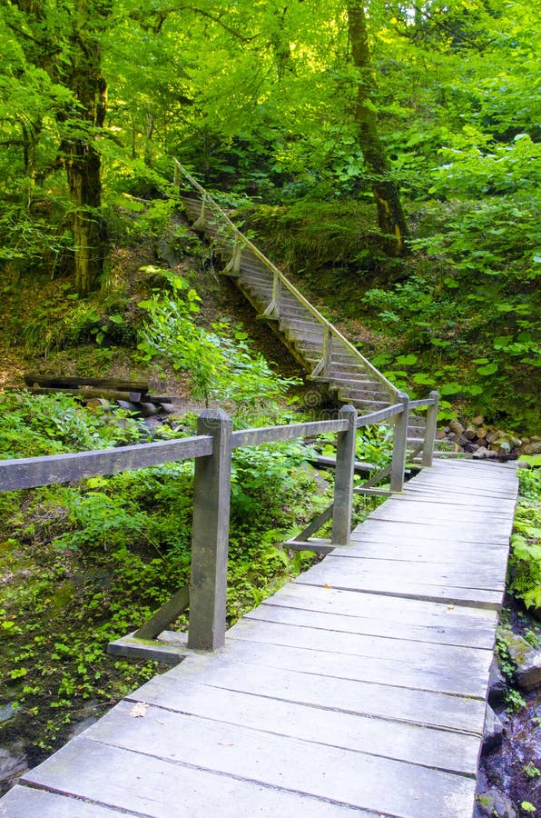 The Wooden Bridge in the Mountains Stock Image - Image of water, forest ...