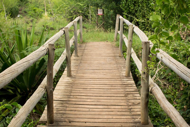 Wooden Bridge Over Abyss with Aloe and Cacti. Stock Image - Image of ...