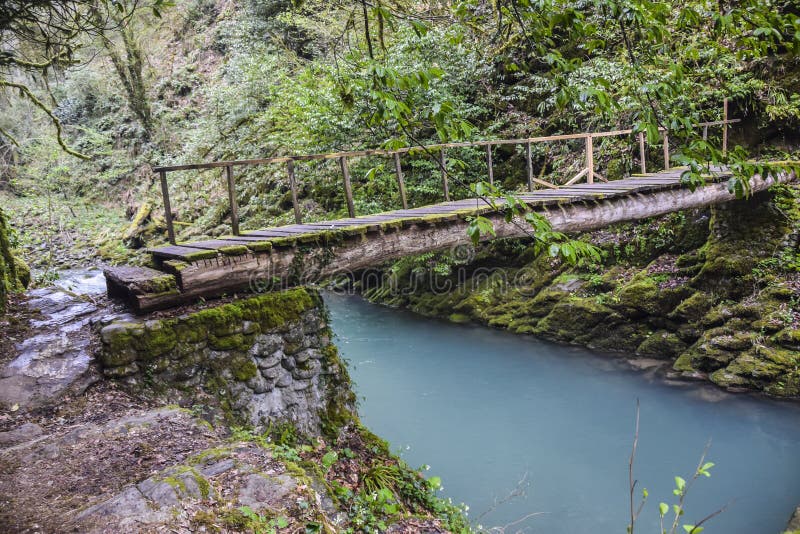 Wooden Bridge Over the Blue River in the Jungle Moss Rock Cliff Stock ...