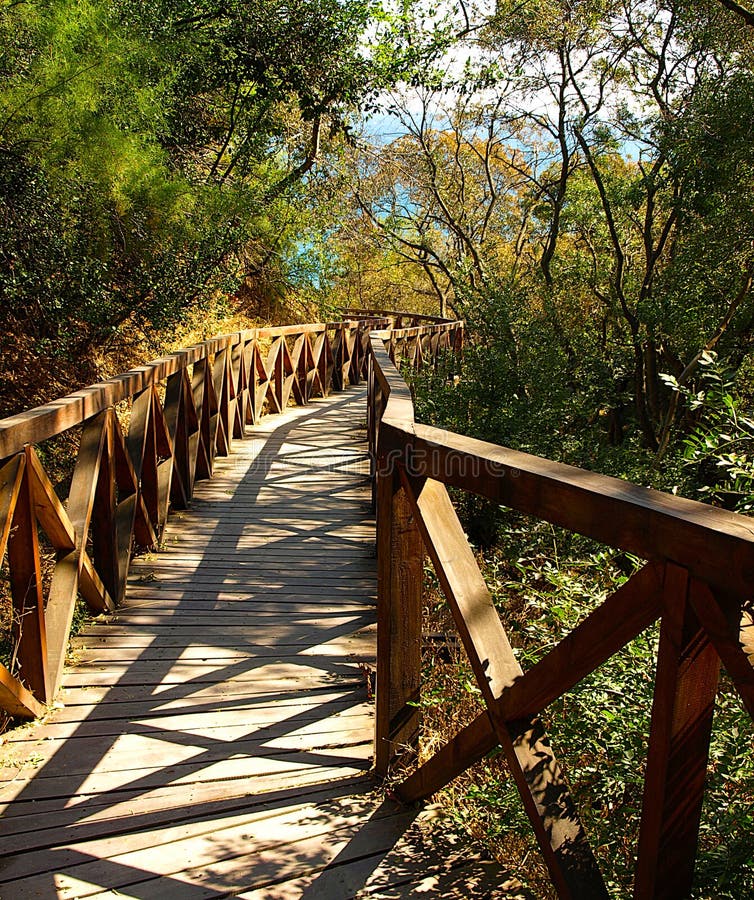 Wooden bridge over a gorge stock image. Image of hiking - 21541433