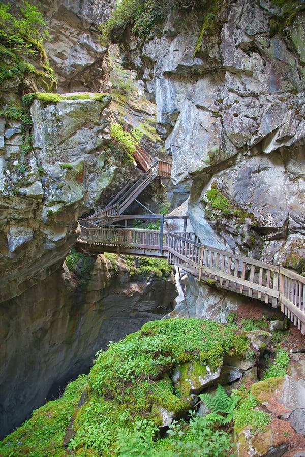 Wooden bridge over gorge stock photo. Image of alpine - 21821530