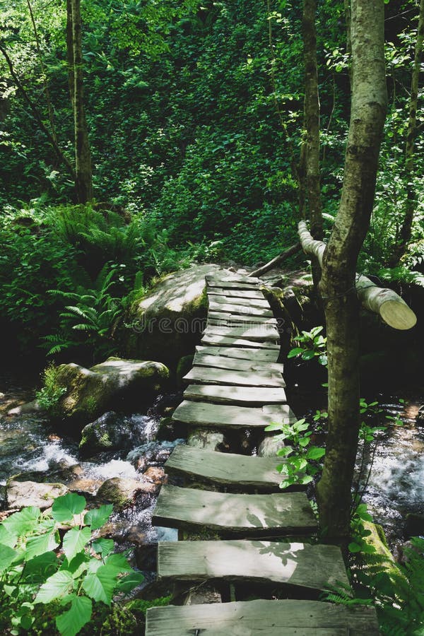Wooden Bridge Over a Mountain River. Green Forest. Summer Landscape ...
