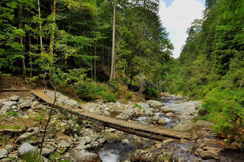 Wooden Bridge Over a Mountain Stream Stock Image - Image of environment ...