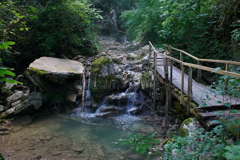 Wooden Bridge Over Mountain Stream in the Forest Stock Photo - Image of ...