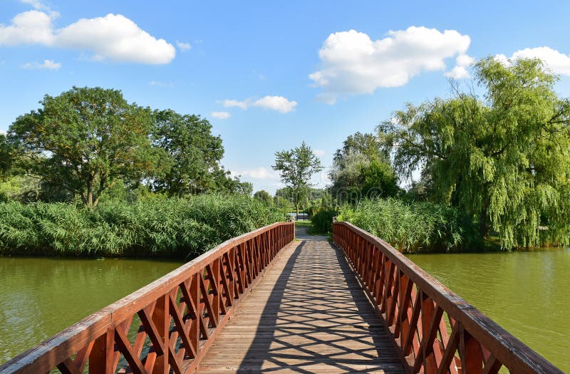Wooden Bridge Over the River Stock Photo - Image of wooden, river ...