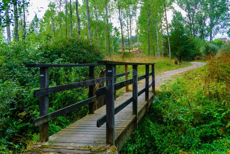 Wooden Bridge Over a River that Crosses a Forest Stock Photo - Image of ...