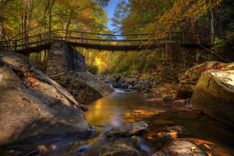 Wooden Bridge Over the River in the Forest in Autumn Stock Image ...