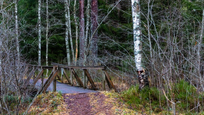 Wooden Bridge Over a River in a Forest in Sweden Stock Photo - Image of ...
