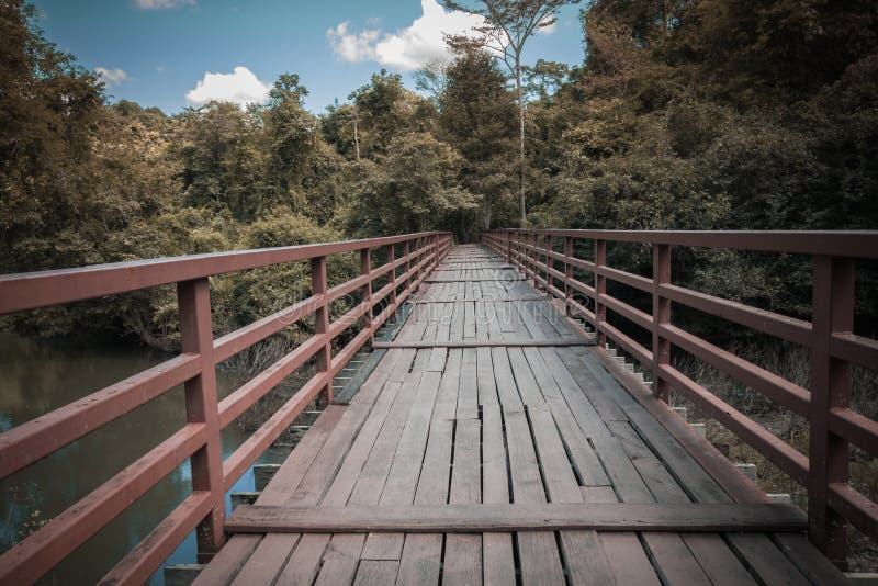 Wooden Bridge Over River Leading To Forest and Sky Background Stock ...
