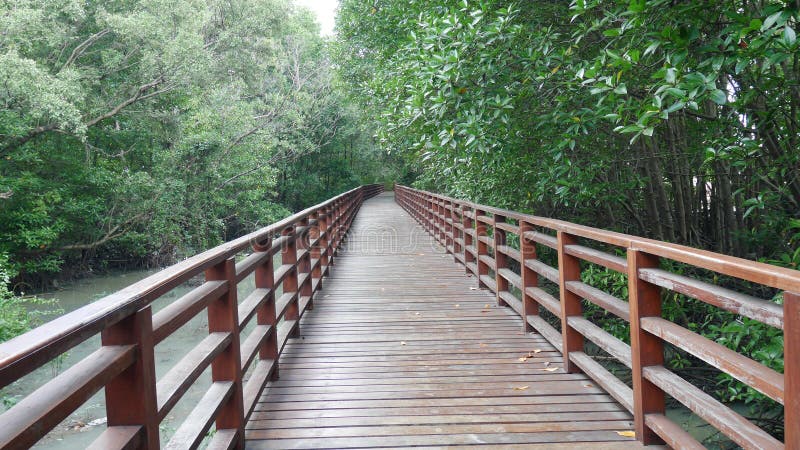 Wooden Bridge Over the River Stock Image - Image of garden, track ...