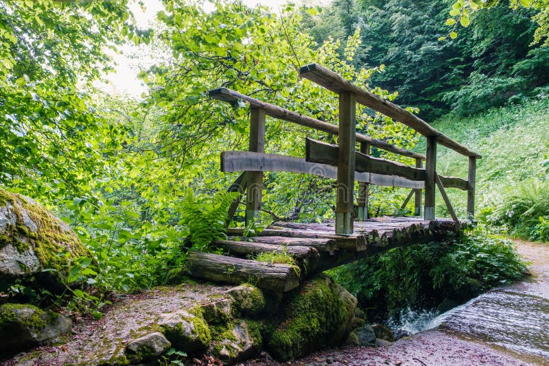 Wooden Bridge Over a Stream in the Background of Greenery Stock Image ...