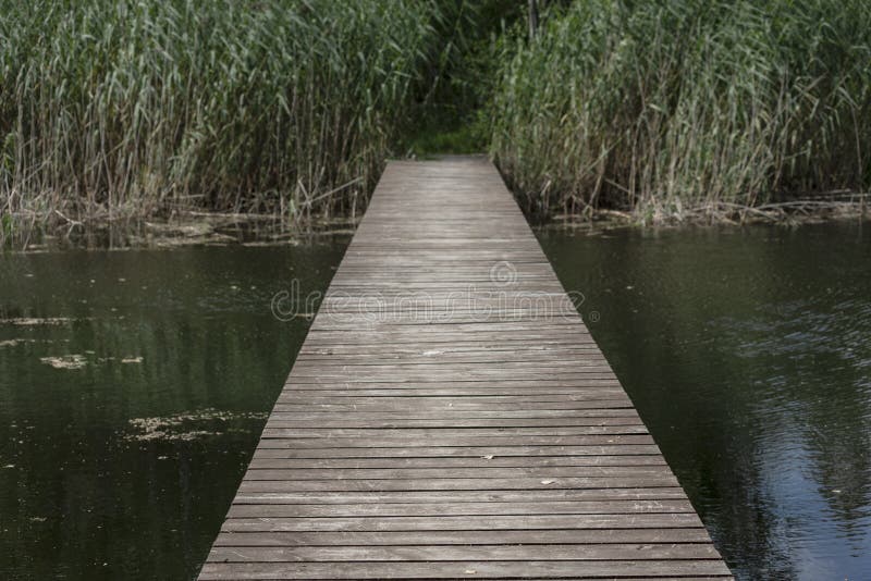 Wooden Bridge Over a Stream Stock Image - Image of outside, calm: 253918089