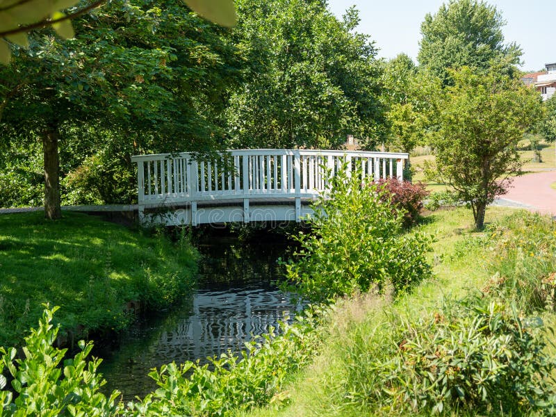 Wooden bridge. stock image. Image of river, water, plant - 250650883