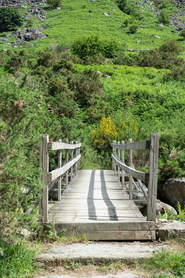 The Wooden Bridge Over a Stream in the Wicklowmountains Stock Photo ...